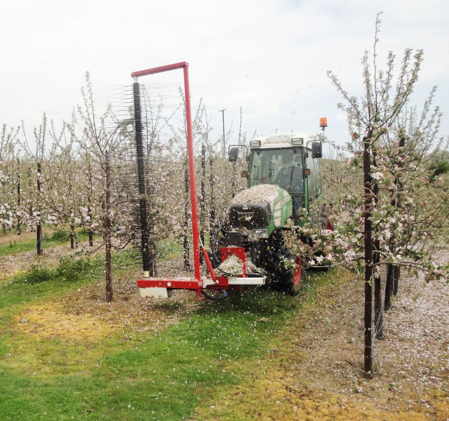 Seymour’s spotlight: Fruit Tec’s Darwin mechanical blossom thinner.