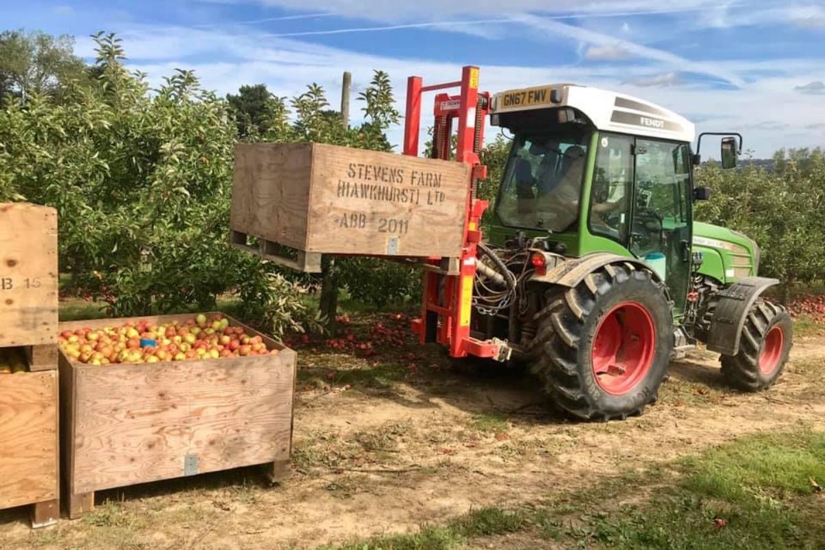 Tecnoagri Tractor Mounted Forklifts | NP Seymour