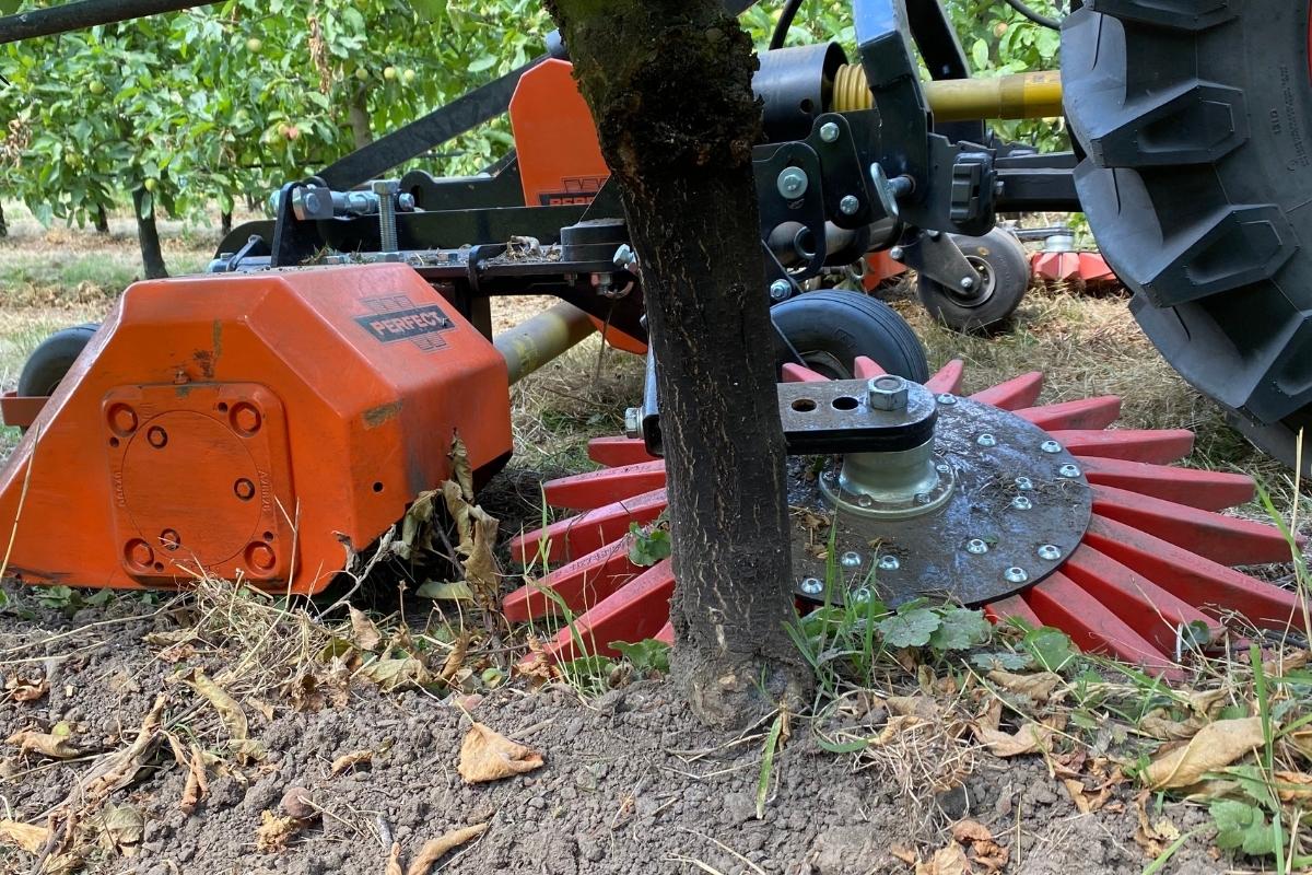 A perfect introduction to mechanical weed control - NP Seymour