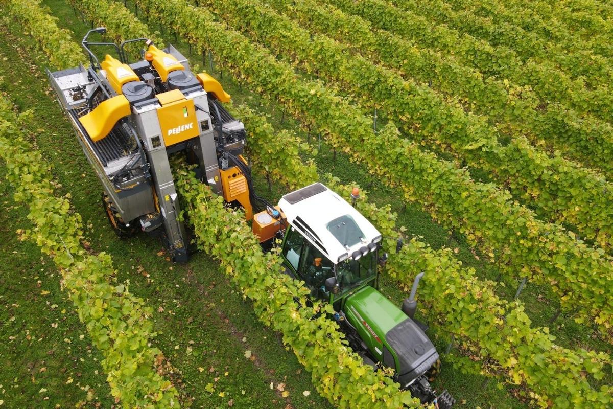 Get into gear for the 2023 grape harvest - NP Seymour