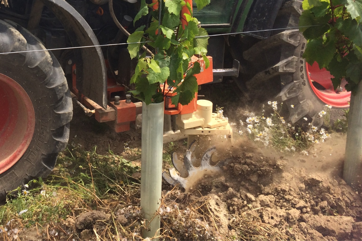 Mechanical weeding solutions from Braun - NP Seymour